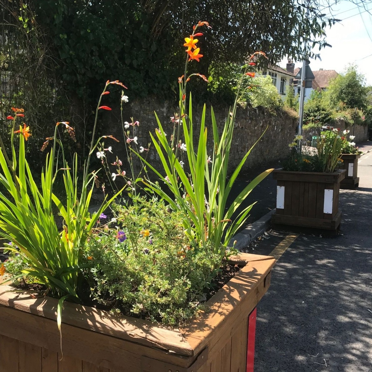 Gordano School - St Mary's Road Planters